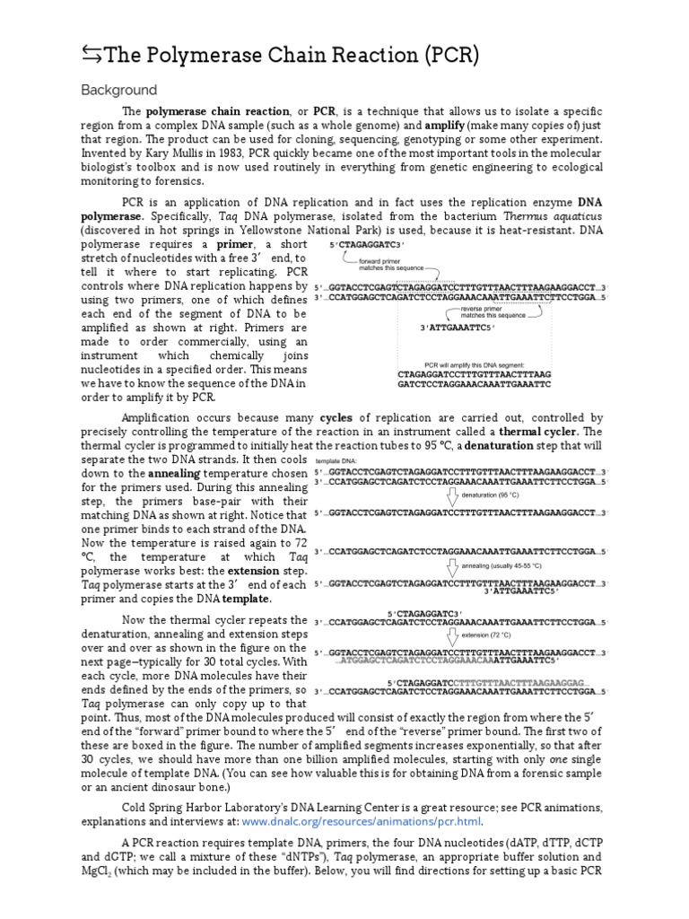 The Polymerase Chain Reaction (PCR) : Background | PDF | Polymerase ...