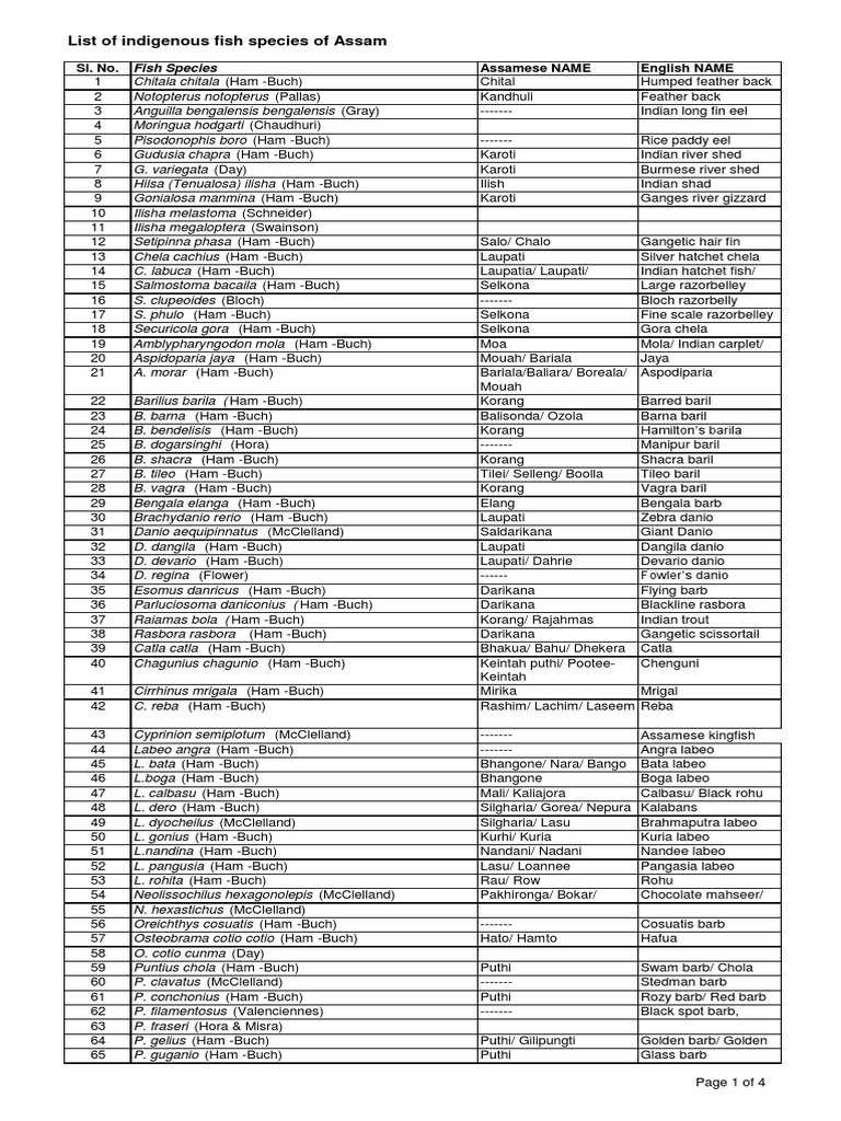 List of Indigenous Fish Species of Assam | PDF