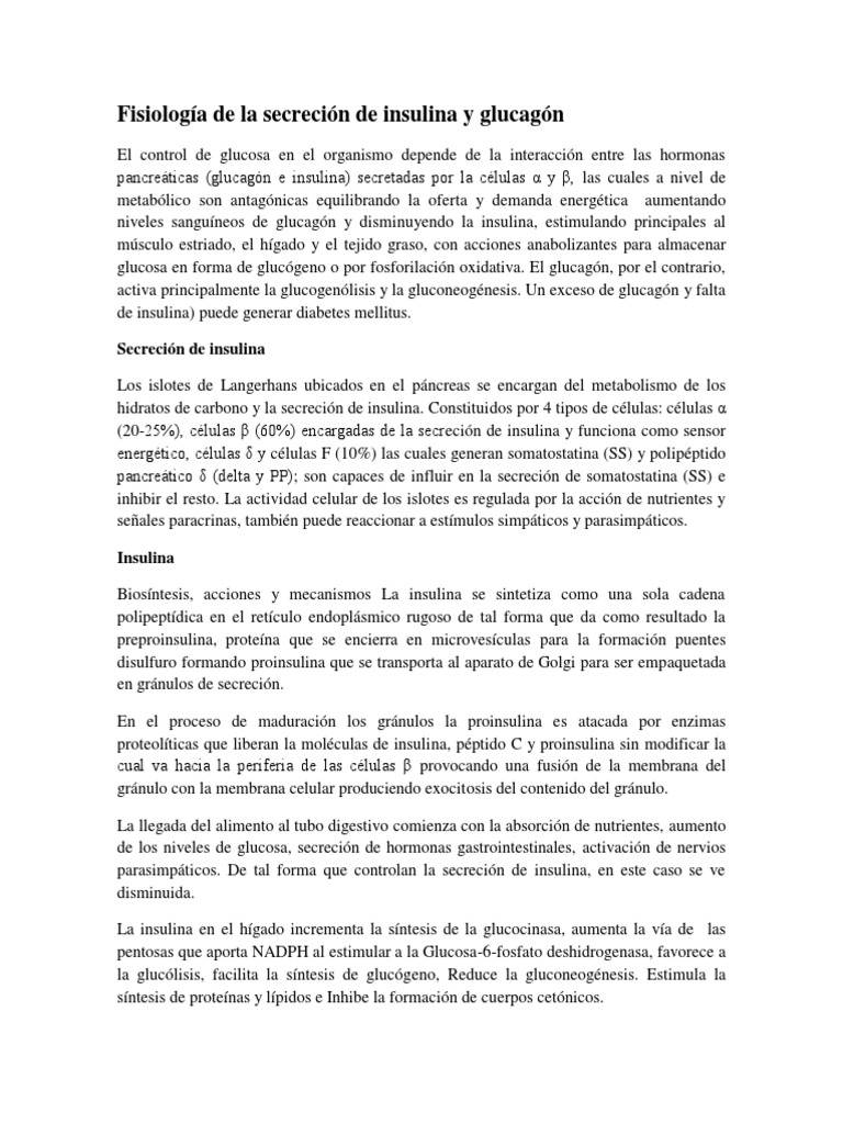 Fisiología de La Secreción de Insulina y Glucagón | PDF | Insulina ...
