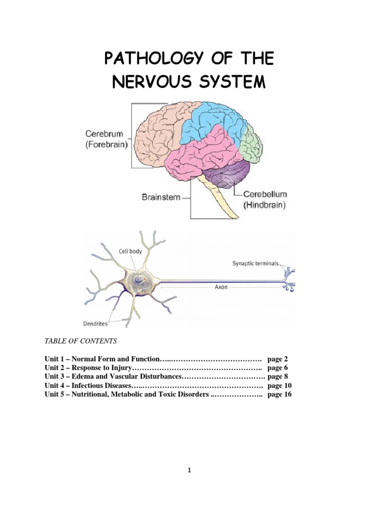 Pathology of The Nervous System PDF | PDF | Rabies | Nervous System