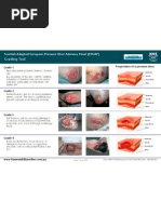 OMSAS GPA Conversion Scale PDF | PDF