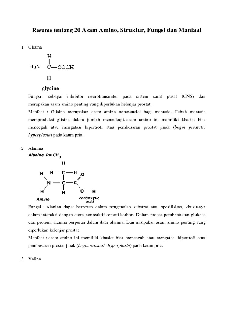Resume Tentang 20 Asam Amino, Struktur, Fungsi Dan Manfaat | PDF ...