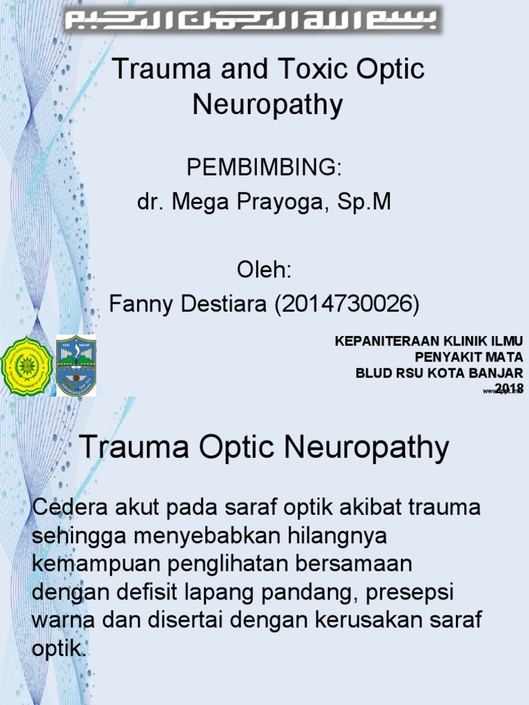 Optik Neuropati | PDF
