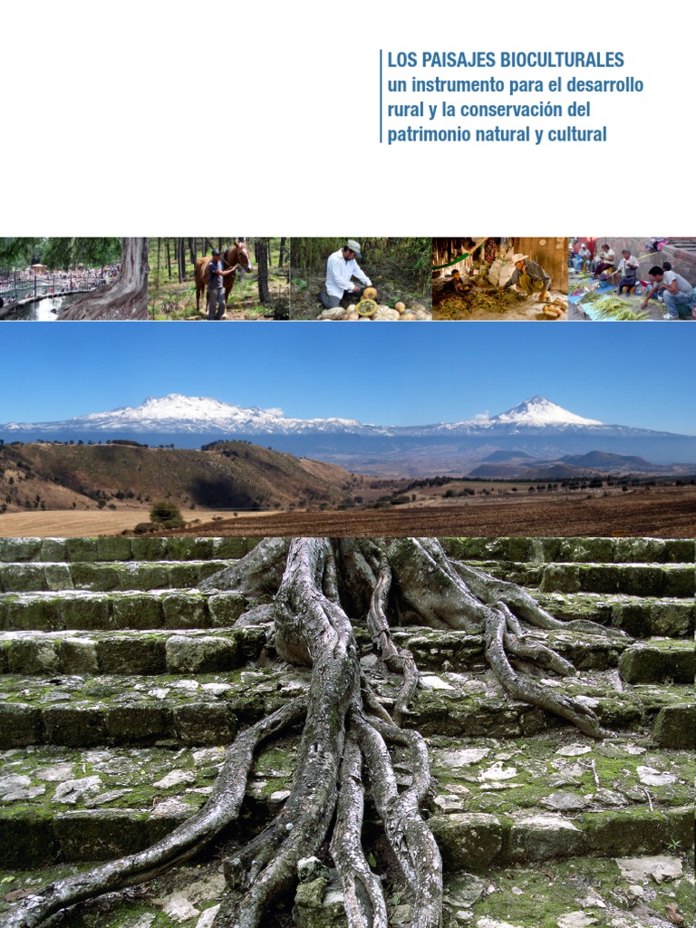 Los Paisajes Bioculturales Un Instrument PDF | PDF | Biodiversidad | México