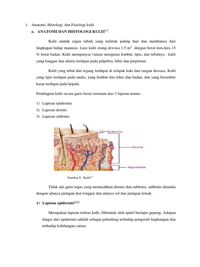 Anatomi Luka Robek | PDF