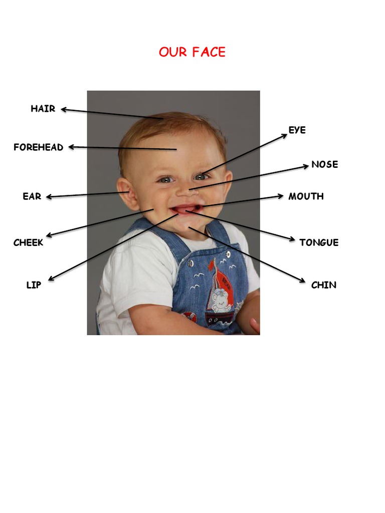 Body Face Parts Names PDF | PDF