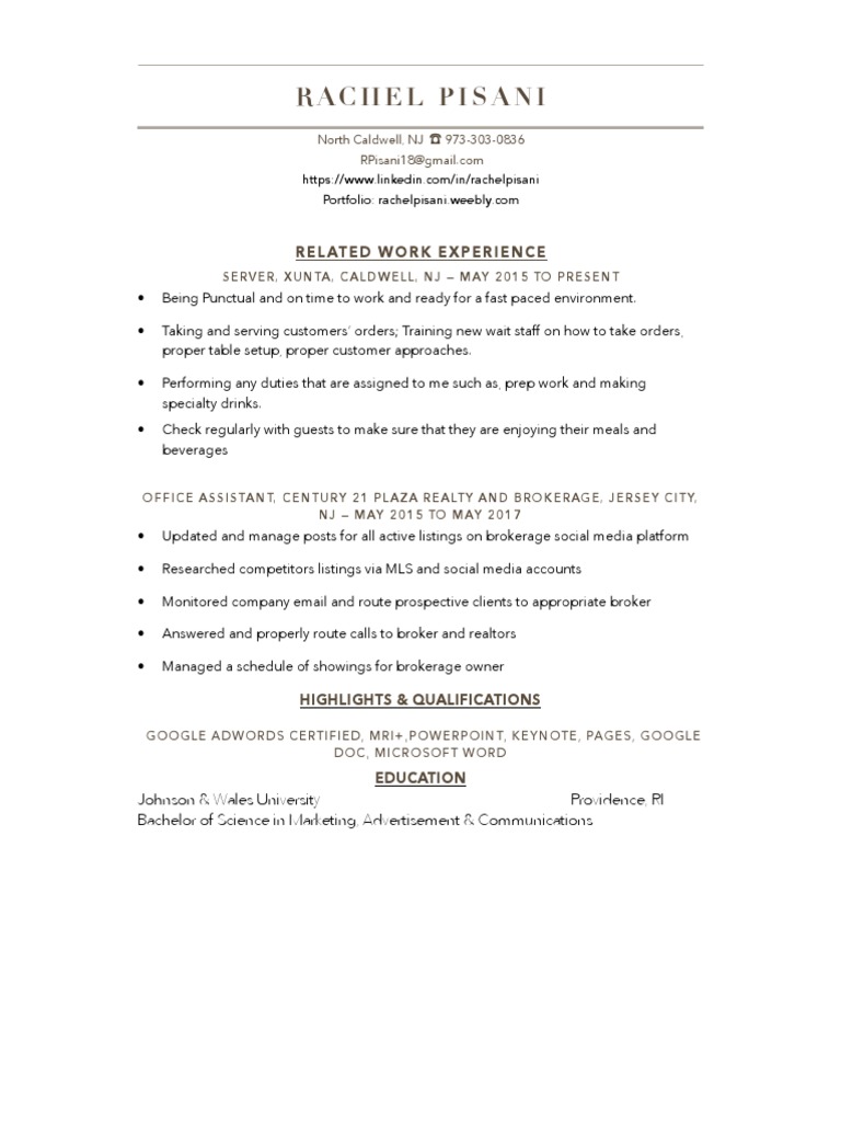 Professional Experience Overview | PDF