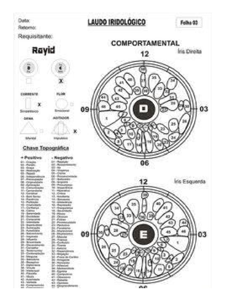 Iridologia Mapa 3 Rayd