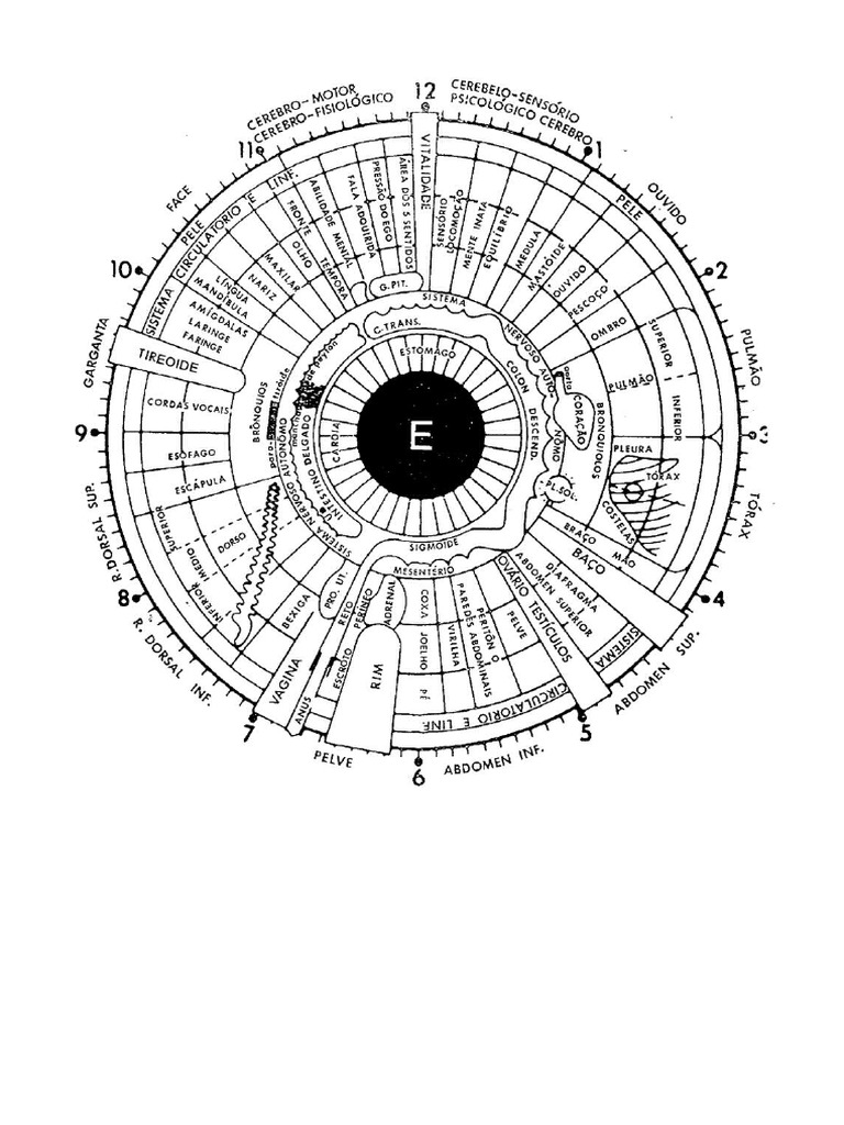 Iridologia Mapa 4 | PDF