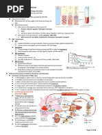 Top 5 Leukogram Patterns Explained | PDF | White Blood Cell | Lymphocyte