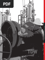 TDW - D2000 Quick Opening Closure | PDF | Door | Pipe (Fluid Conveyance)