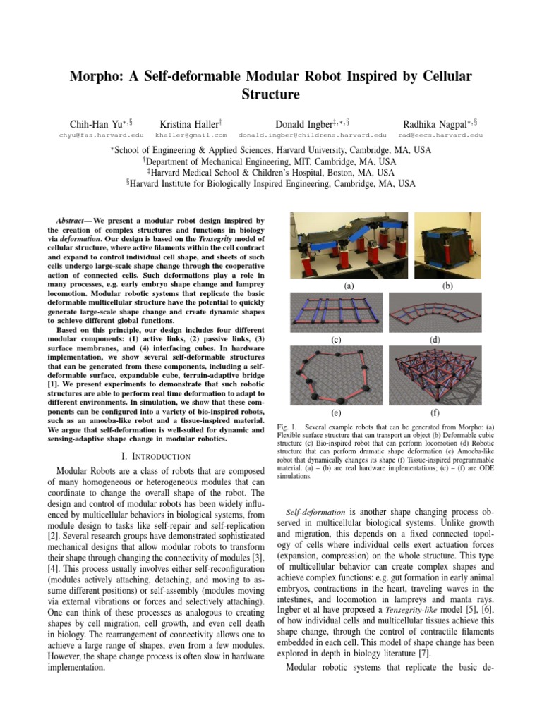 Morpho: A Self-Deformable Modular Robot Inspired by Cellular Structure ...