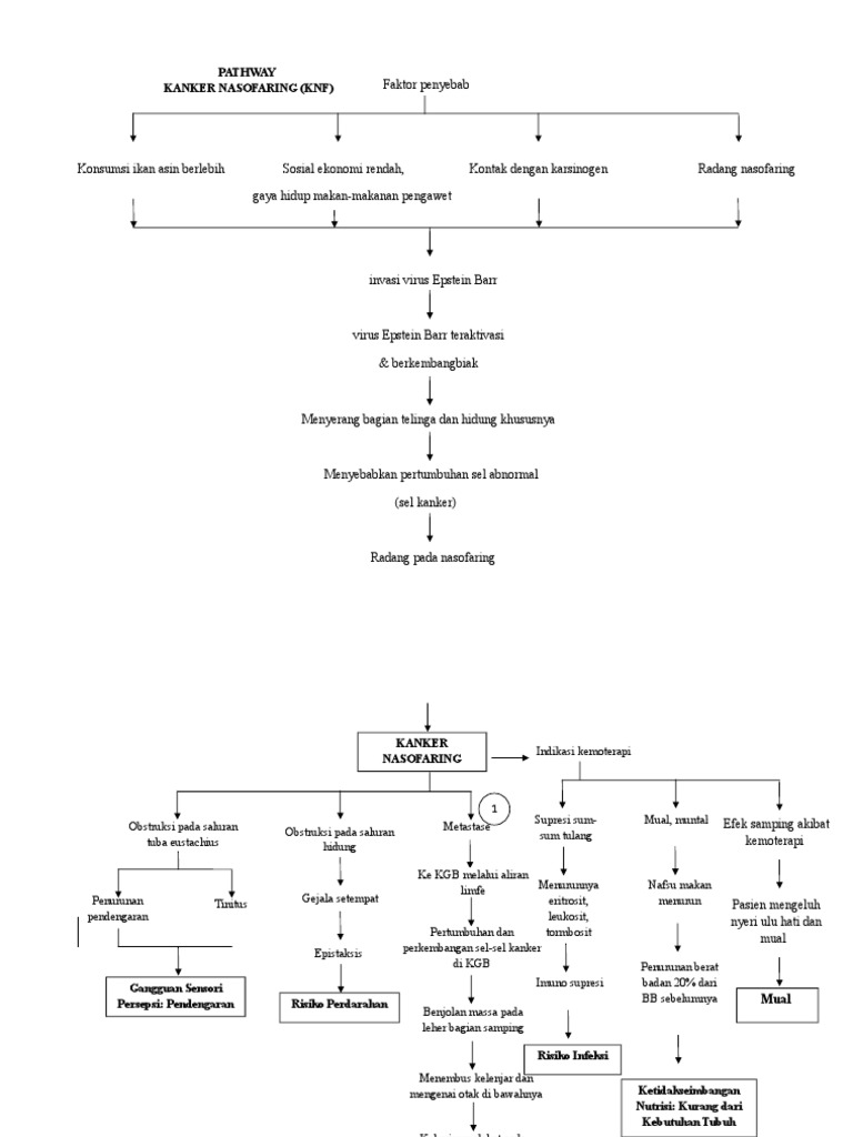 Pathway KNF Fix | PDF