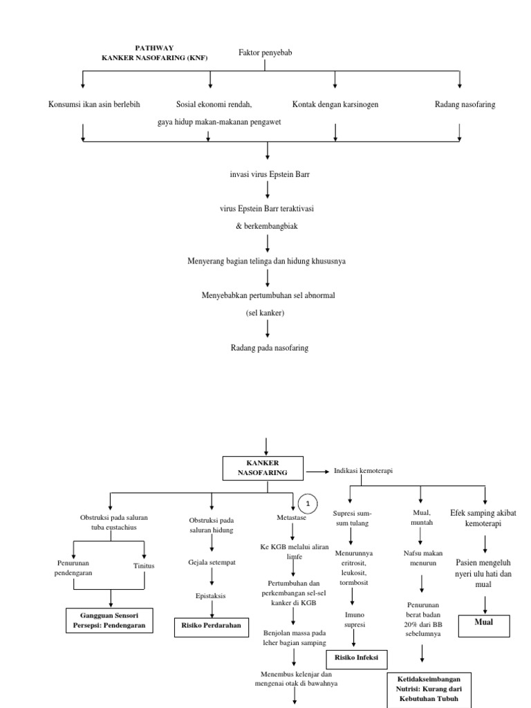 Penyebab dan Gejala Kanker Nasofaring | PDF