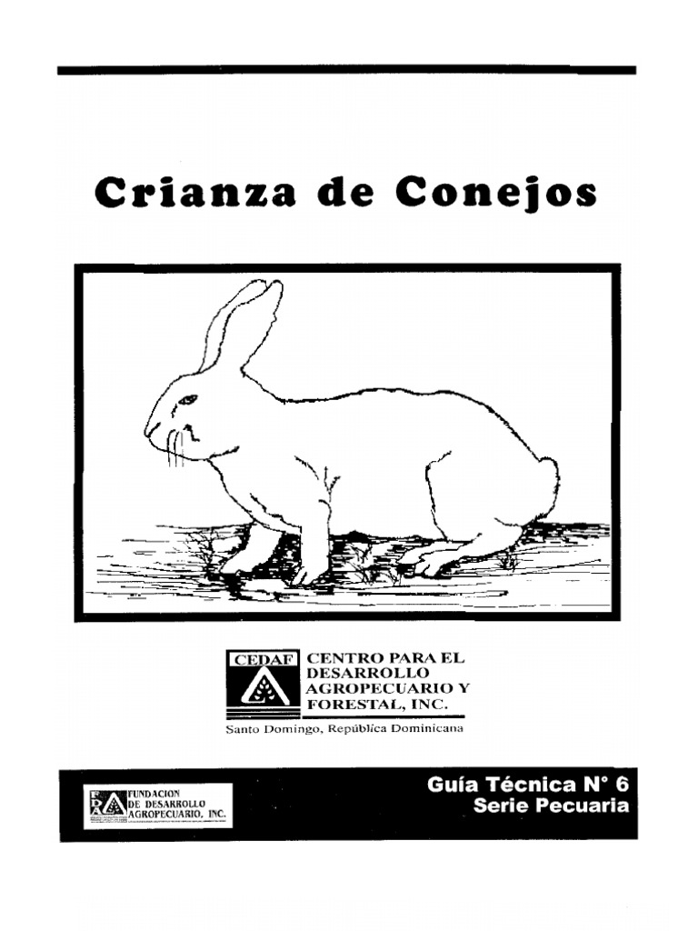 Crianza Conejos Pdf