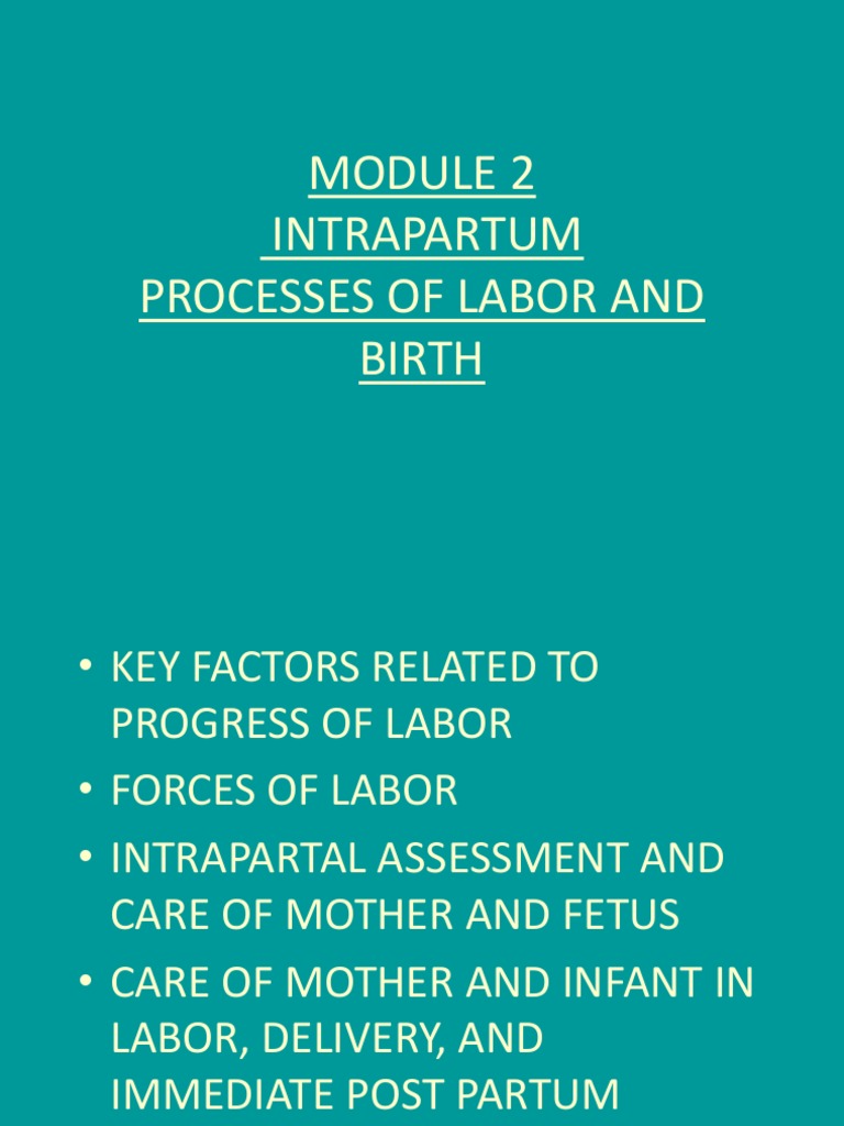 Intrapartum Labor and Birth Processes | PDF | Childbirth | Pelvis