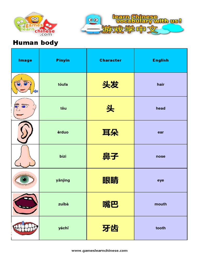 Human Body: Image Pinyin Character English | PDF