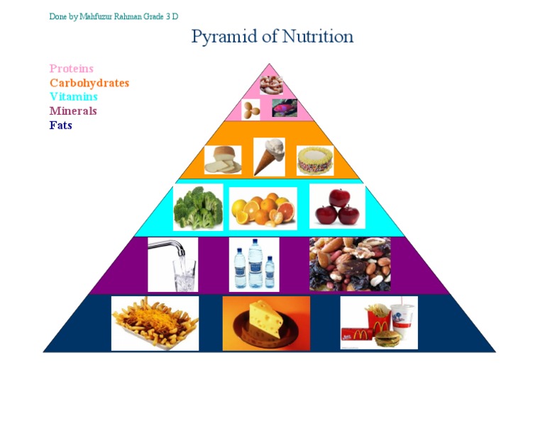 Pyramid of Nutrition | PDF | Nutrition | Diet & Nutrition