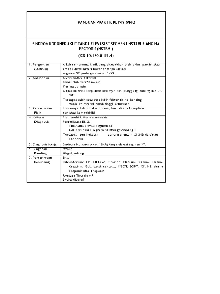 PPK Nstemi Perki | PDF