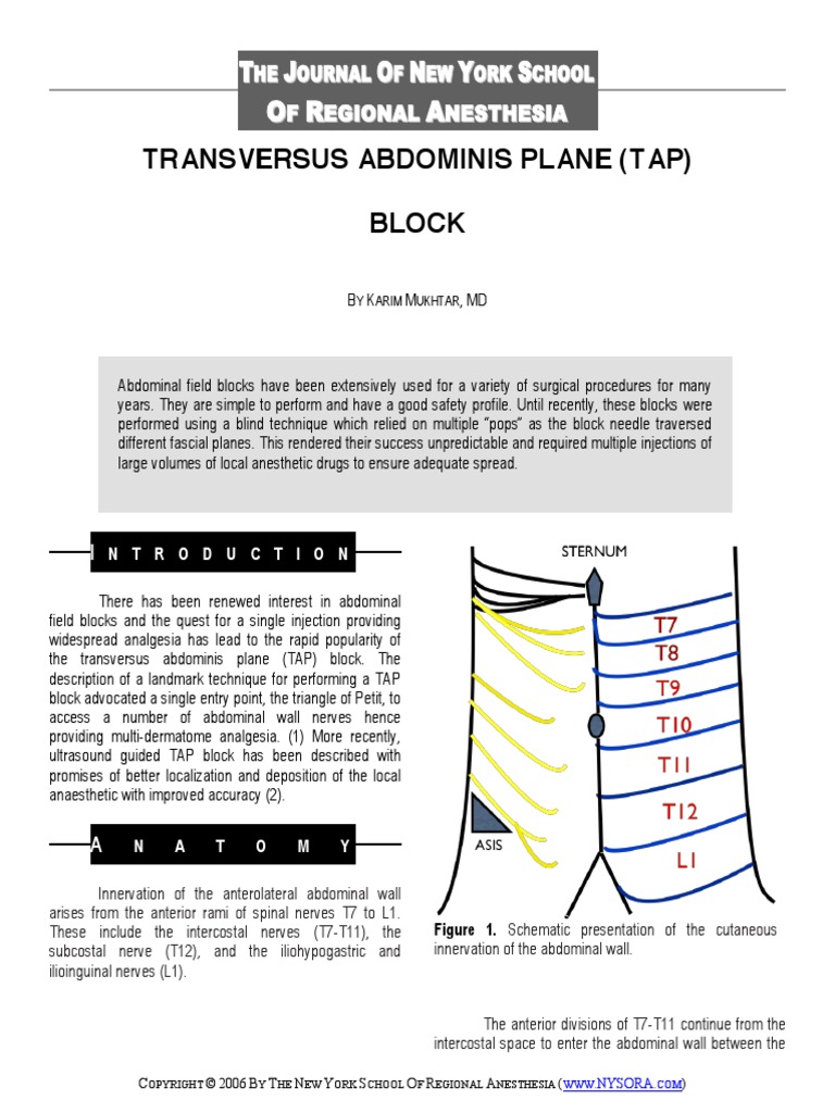 Transversus Abdominis Plane (Tap) | PDF | Anesthesia | Human Leg