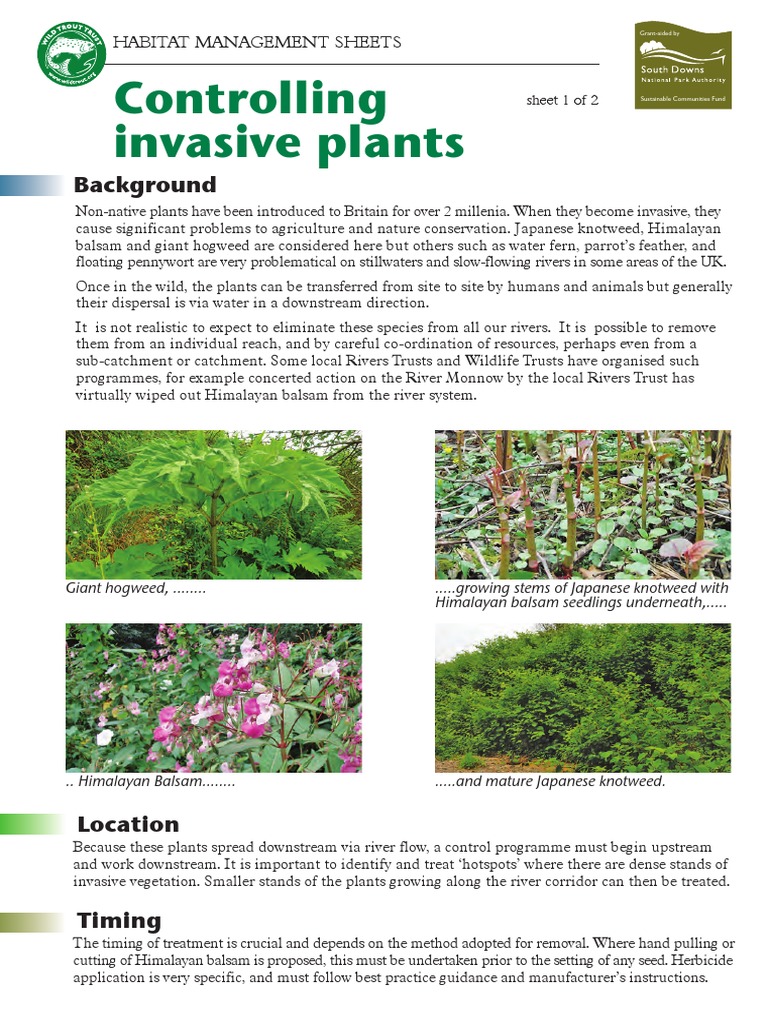 Controlling Invasive Plants | PDF | Invasive Species | Herbicide