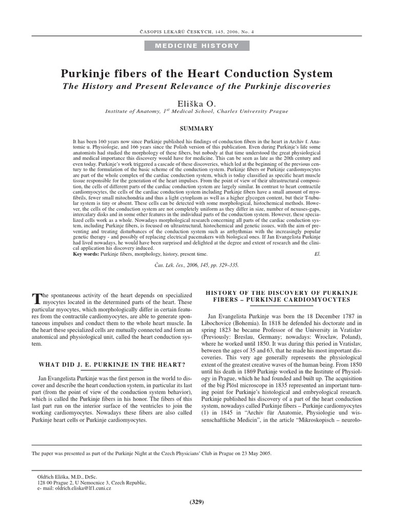Purkinje Fibers of The Heart Conduction System | PDF | Atrium (Heart ...