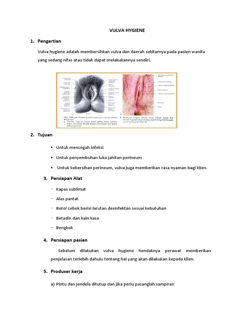 Vulva Hygiene | PDF