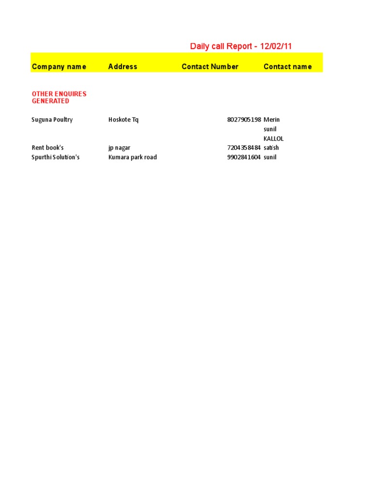 Daily Call Report | PDF