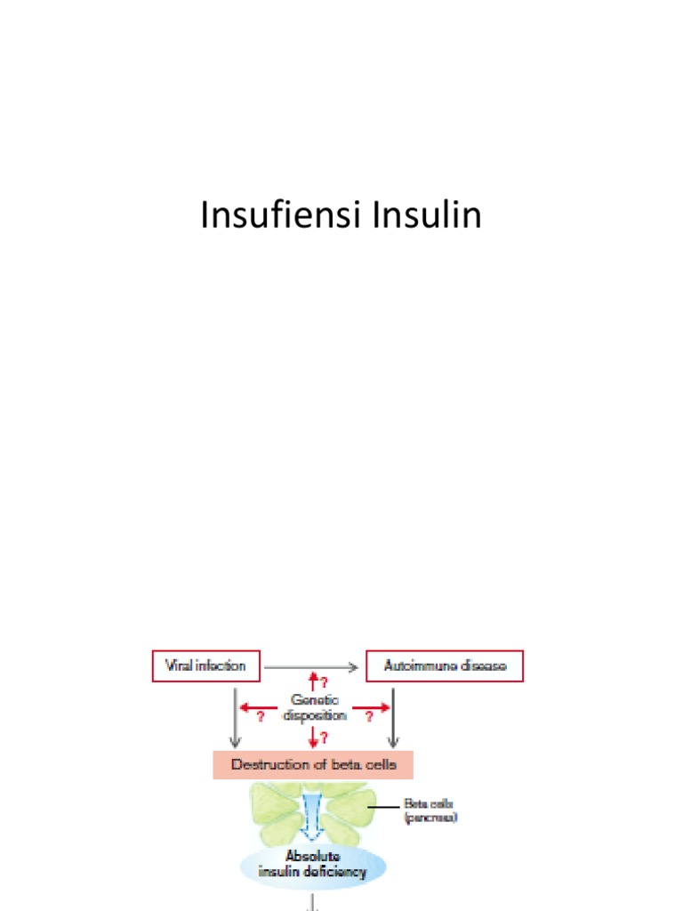 Insufisiensi Insulin | PDF