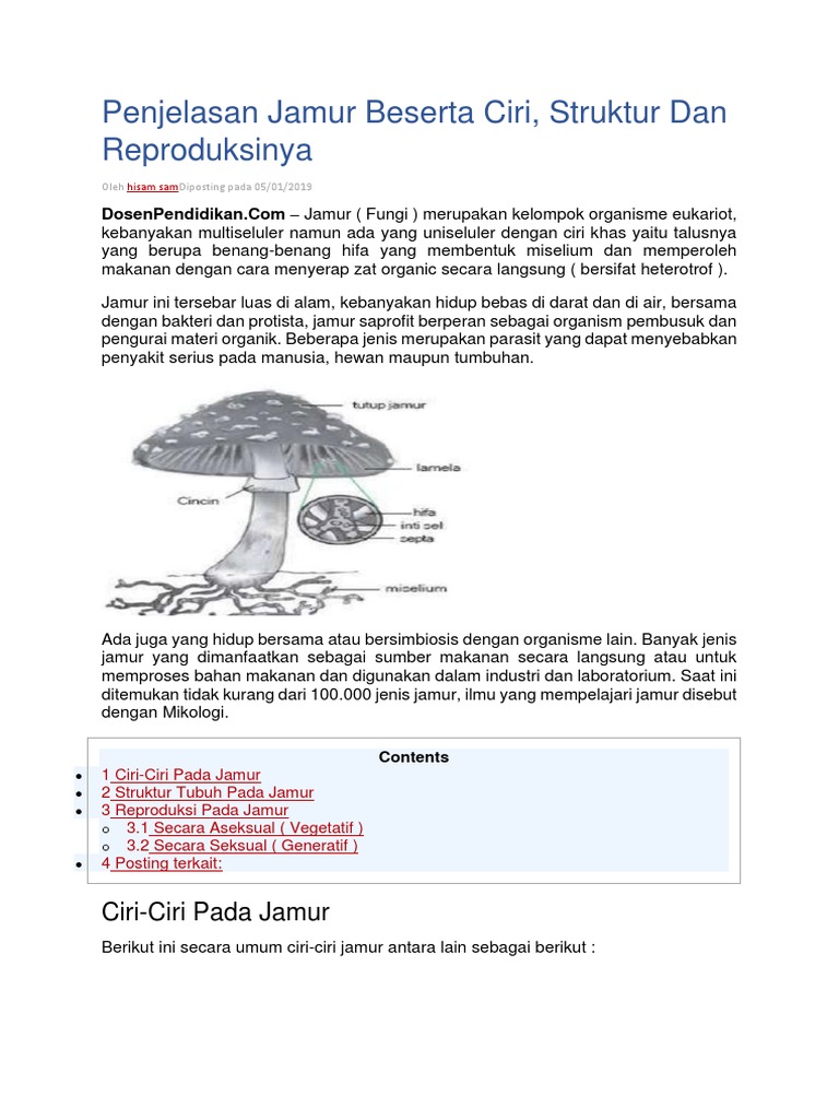 Penjelasan Jamur Beserta Ciri, Struktur Dan Reproduksinya | PDF