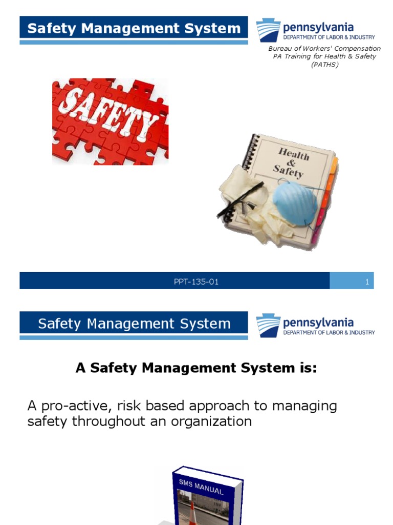Effective Safety Management System Guide | PDF | Risk Management | Safety