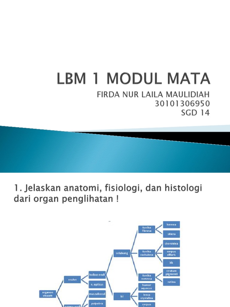 LBM 1 Modul Mata | PDF