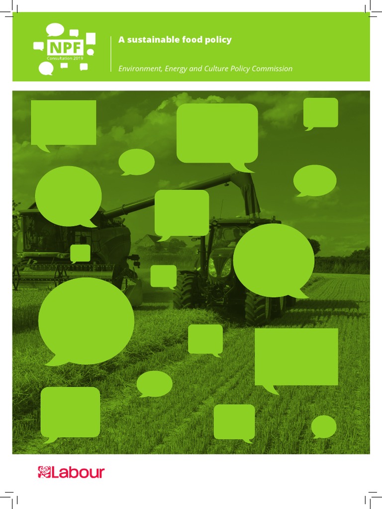 PRINT READY 11808 - 19 G NPF Consultation Document 2019 - Environment - (POTTS) PDF | PDF ...