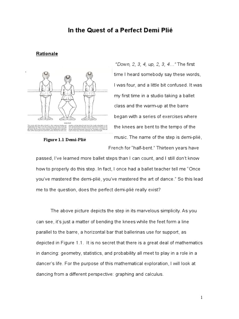 IB SL Math Internal Assessment | PDF | Cartesian Coordinate System | Area