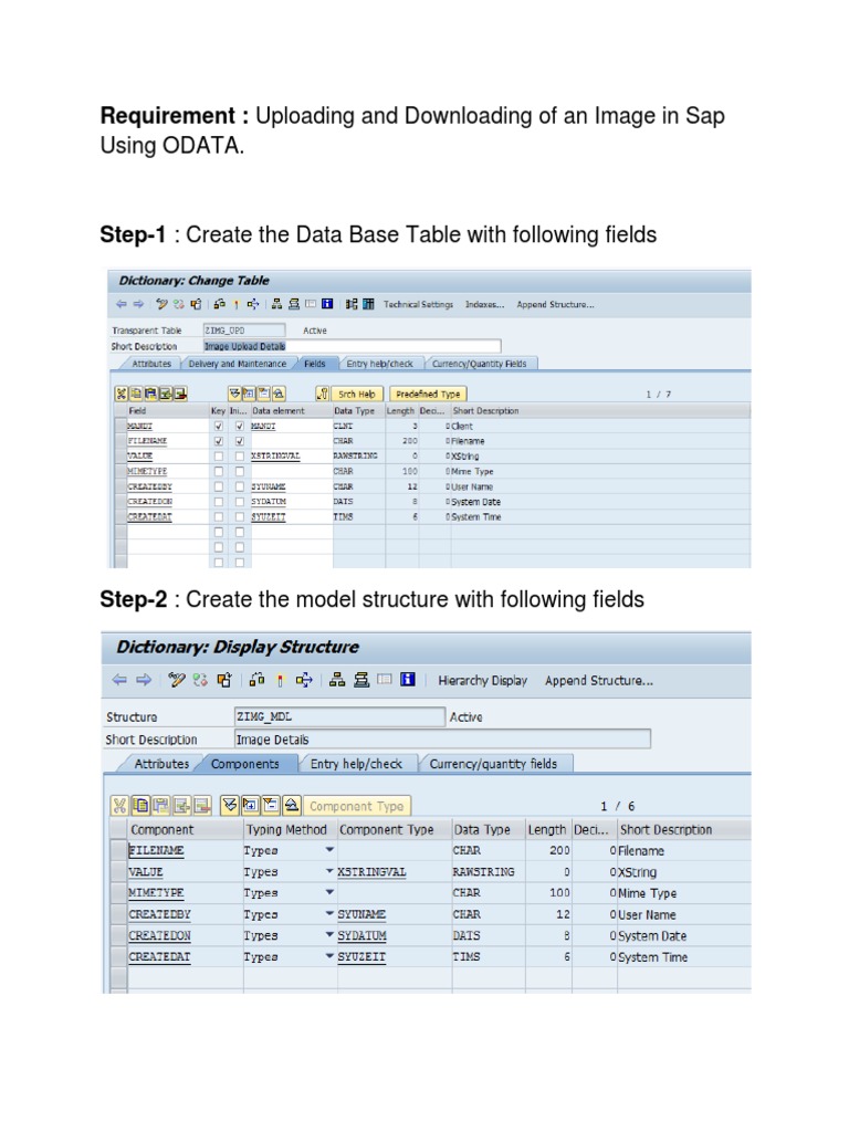 Sap Odata Media Entity | PDF | Software Engineering | Computer Programming