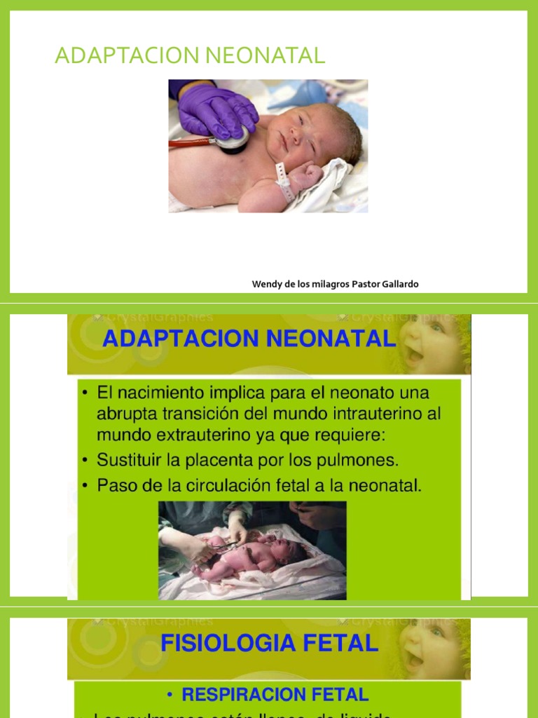Adaptación Neonatal | PDF | Salud y bienestar
