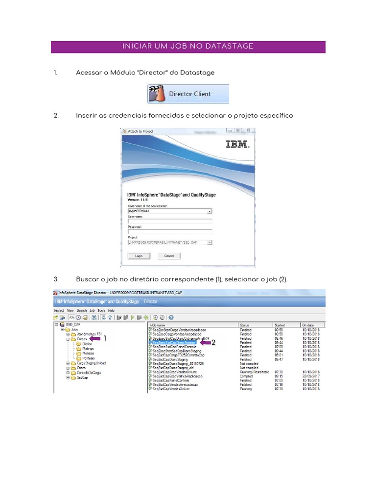 Executando Jobs no DataStage | PDF