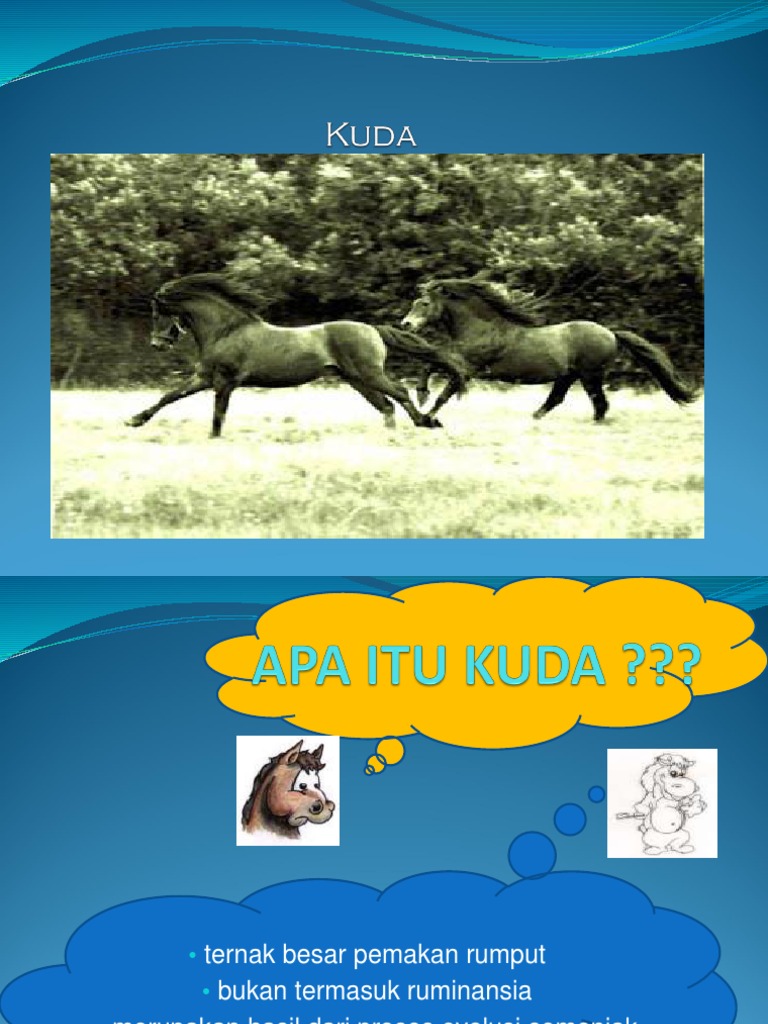 Klasifikasi dan Evolusi Kuda | PDF