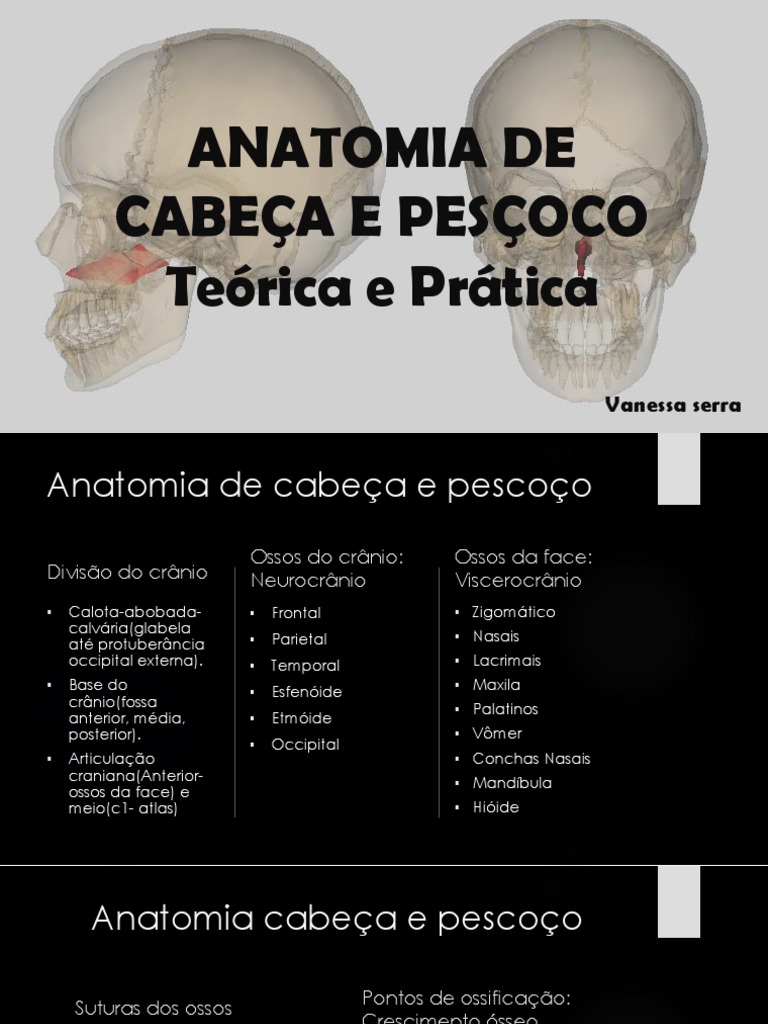 Anatomia da cabeça e pescoço: estrutura óssea e articulações craneana e ...