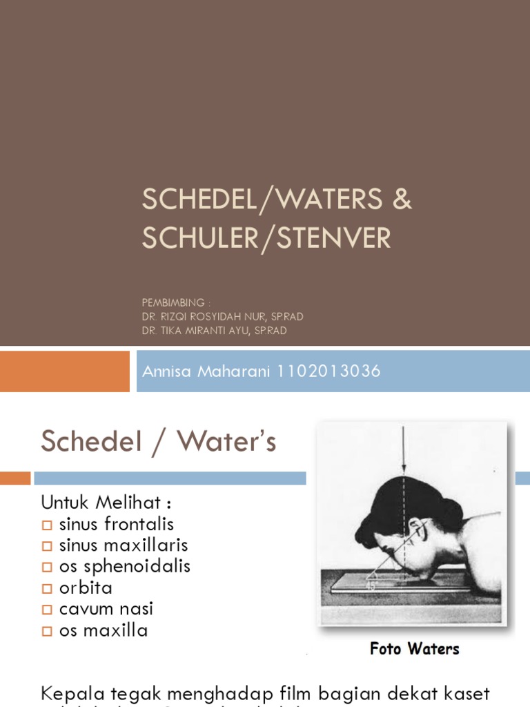 Proyeksi Rontgen Schedel dan Waters | PDF | Sains & Matematika