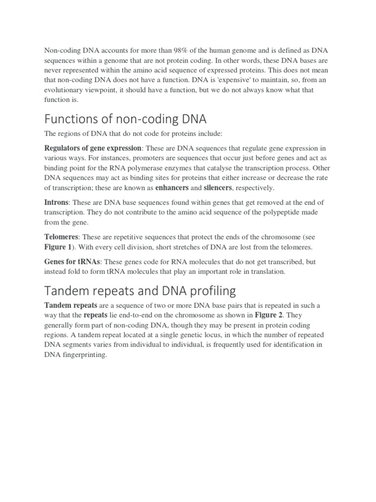 The Functions and Applications of Non-Coding DNA | PDF | Dna Profiling ...