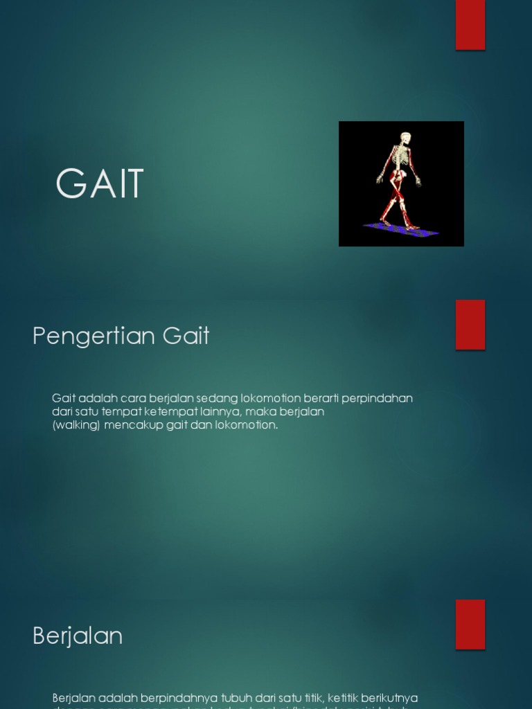 Gait | PDF