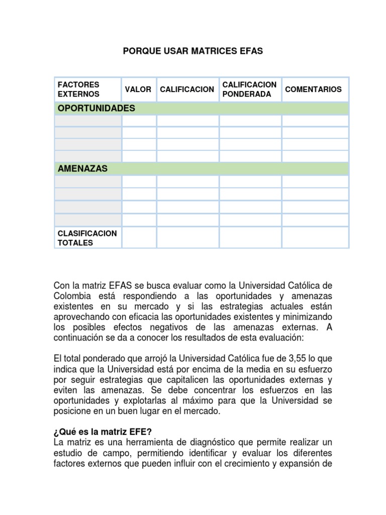 Importancia de Las Matrices EFAS | PDF | Matriz (Matemáticas) | Cognición