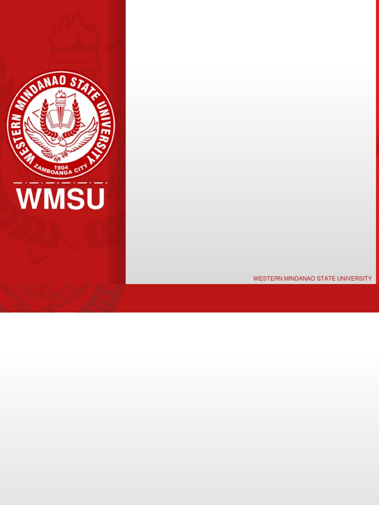 Wmsu PPT