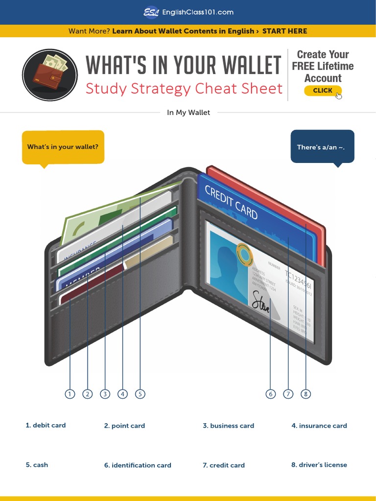 Wallet Contents and Personal Info Guide | PDF