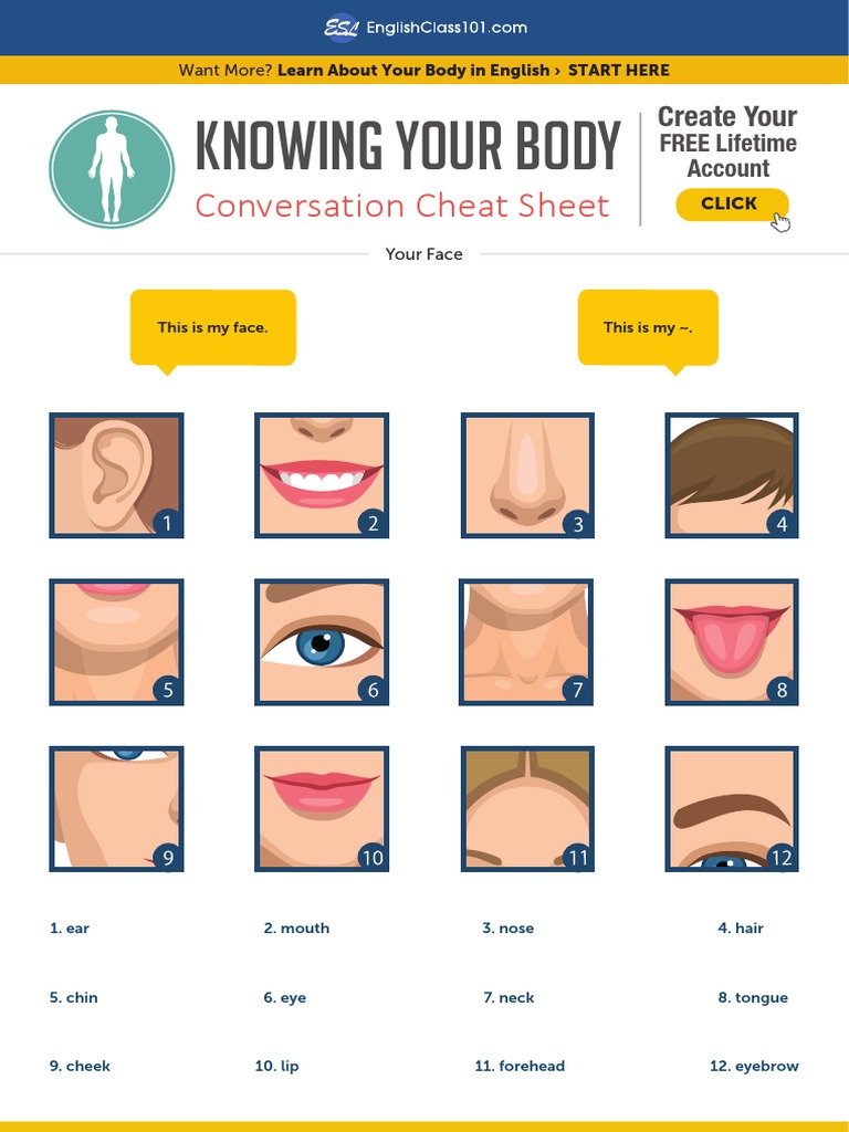 Knowing Your Body: Conversation Cheat Sheet | PDF