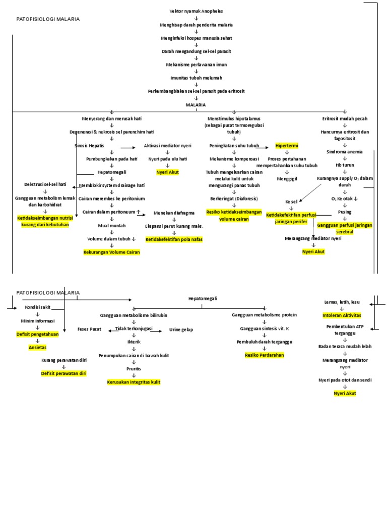 Pathway Malaria | PDF