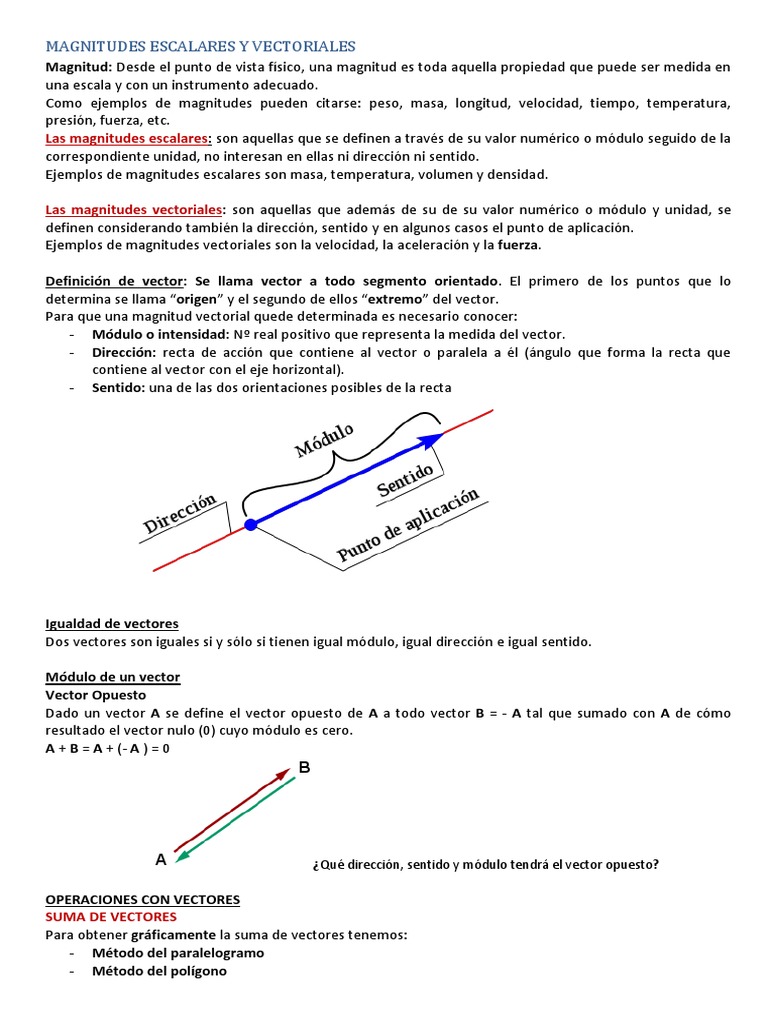 2 Magnitudes Escalares y Vectoriales | Vector Euclidiano | Álgebra lineal