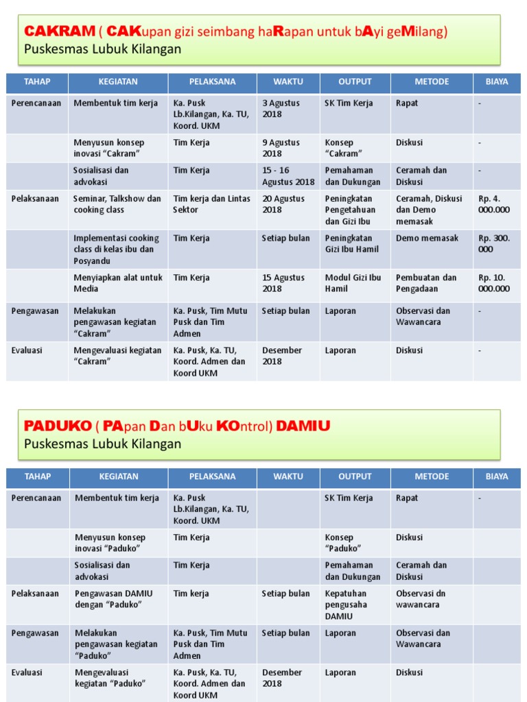 Program Gizi Ibu dan Pengawasan DAMIU | PDF
