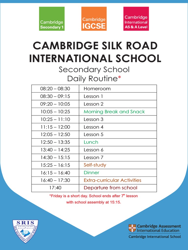 Daily Routine Secondary | PDF